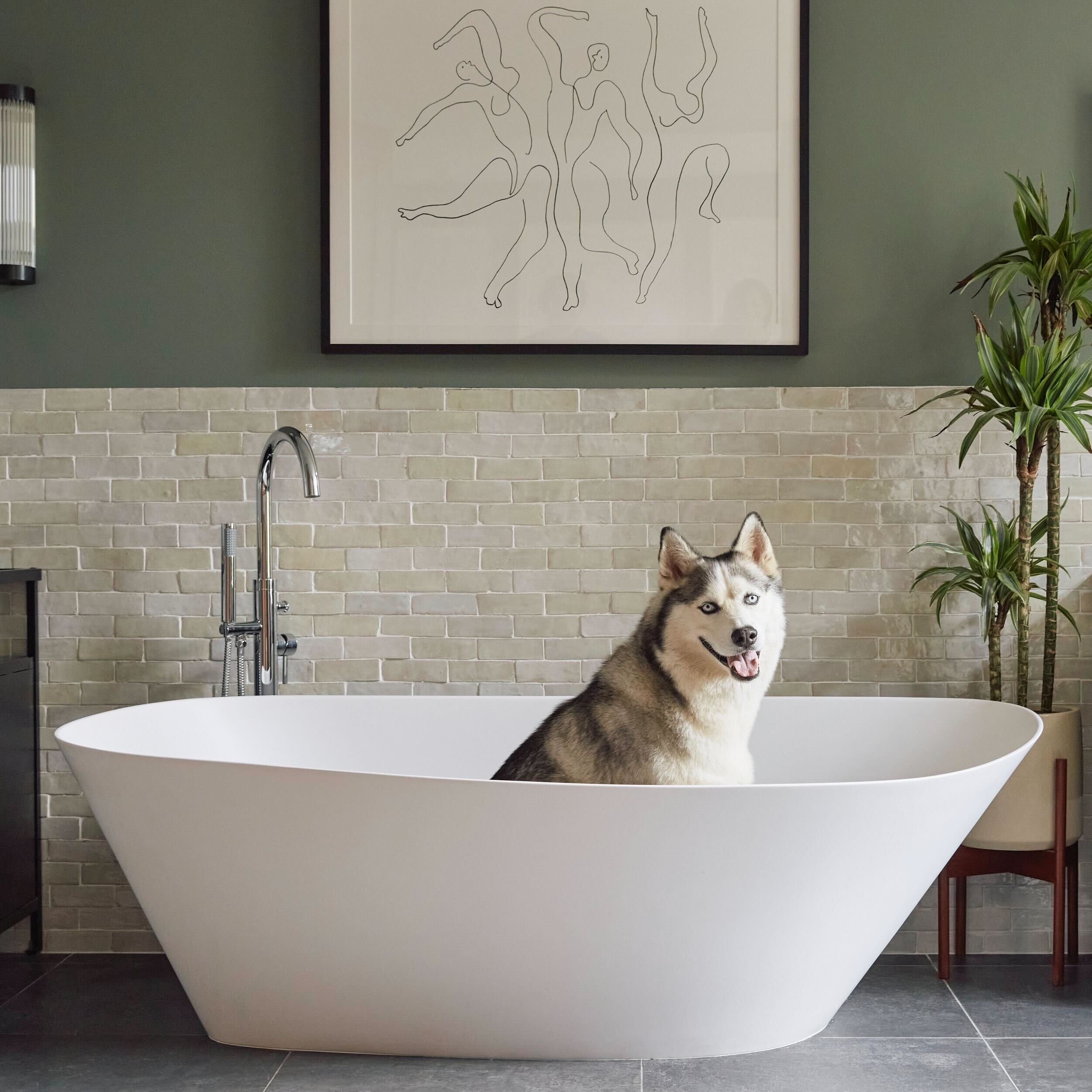 George's Dog Boutique and Grooming Wimbledon Village – georgesdogboutique